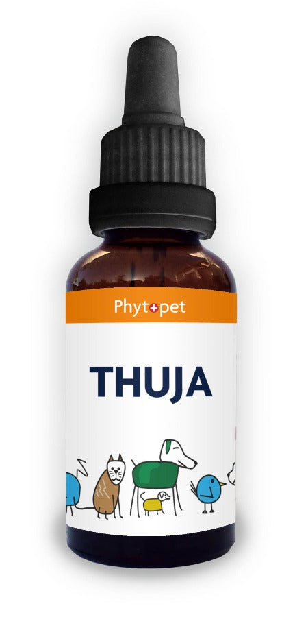 Phytopet Thuja Tincture for Animals – Phytopet Ltd
